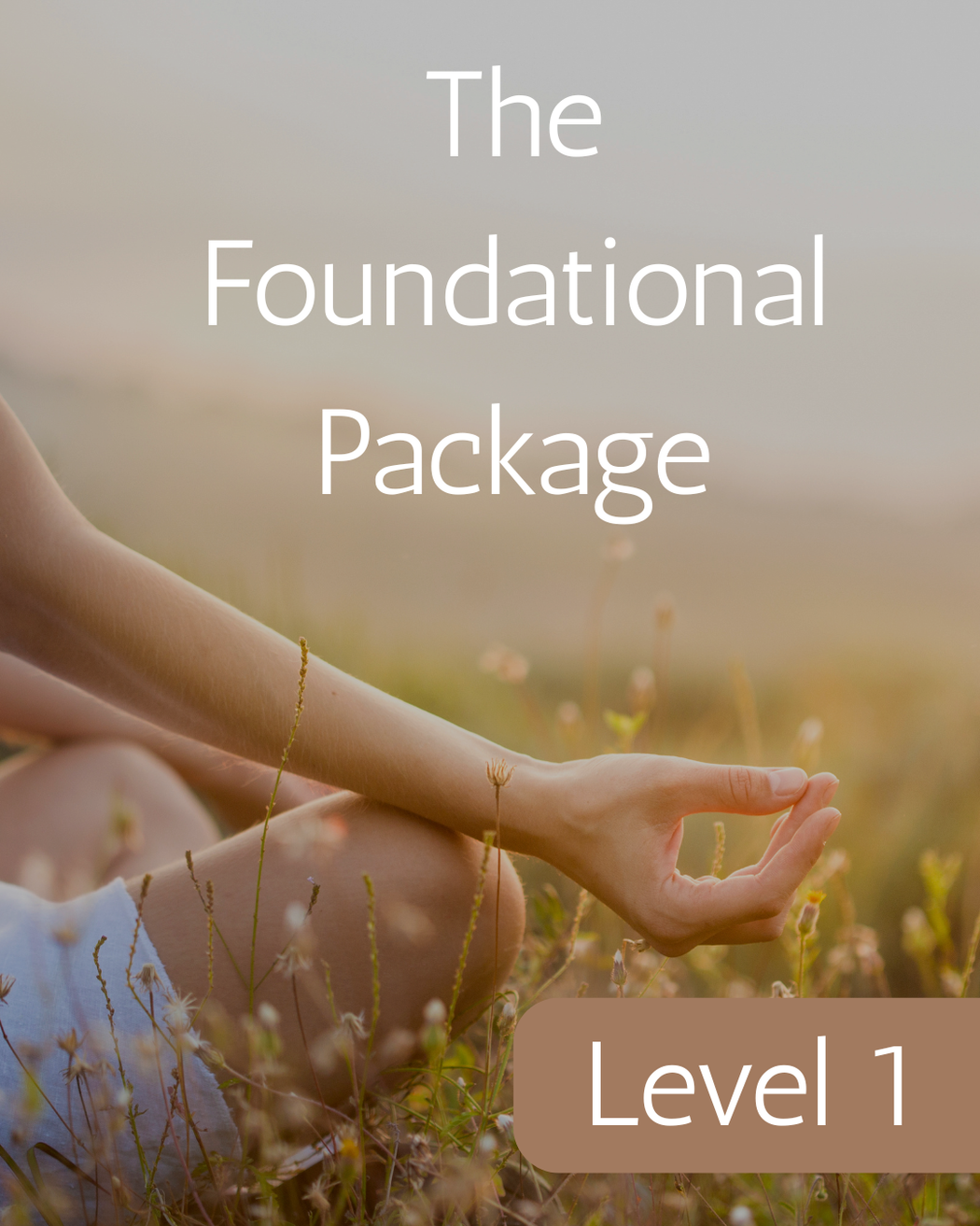 Level 1: The Foundational Package – Aurora Wellness